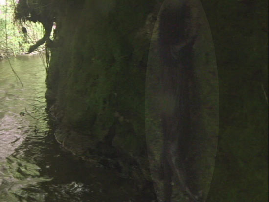 BBC - Nature UK: Kingfisher mink predation last night