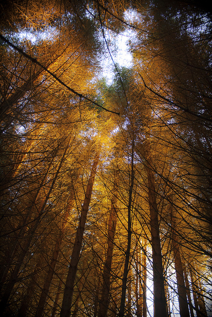 BBC - Nature UK: Autumnwatch meets Winterwatch Flickr favourites