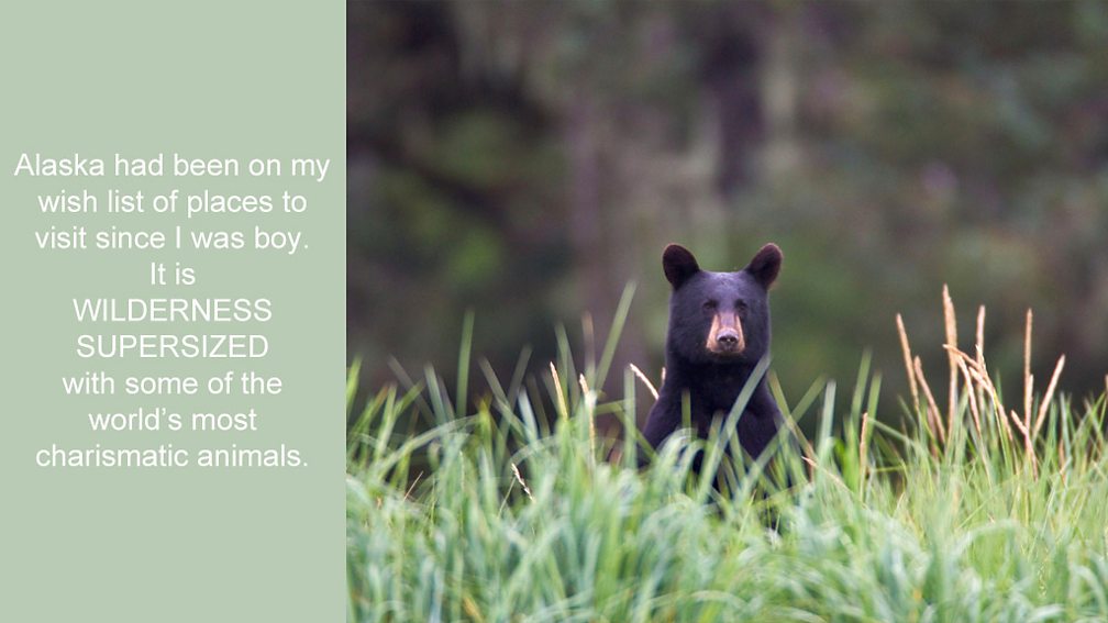 BBC Blogs - TV blog - 10 awe-inspiring quotes and pictures that will ...