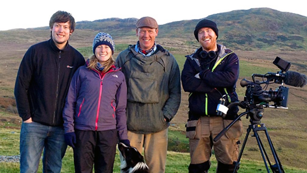 BBC Blogs - Wales - The gathering of the wild mountain ponies