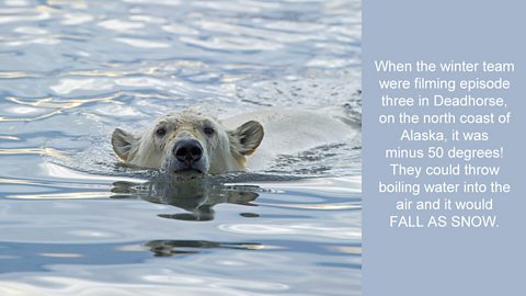 BBC Blogs - TV blog - 10 awe-inspiring quotes and pictures that will ...