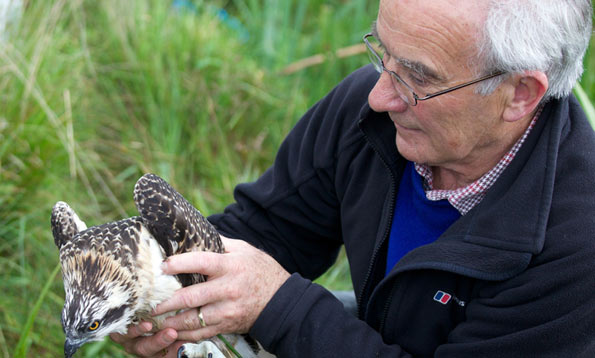 BBC - Nature UK: Ask osprey expert Roy Dennis a question