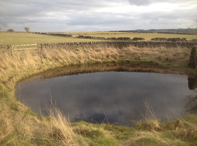 BBC Blogs - Springwatch - The Earth's eyes: Restoring the lost dew ponds