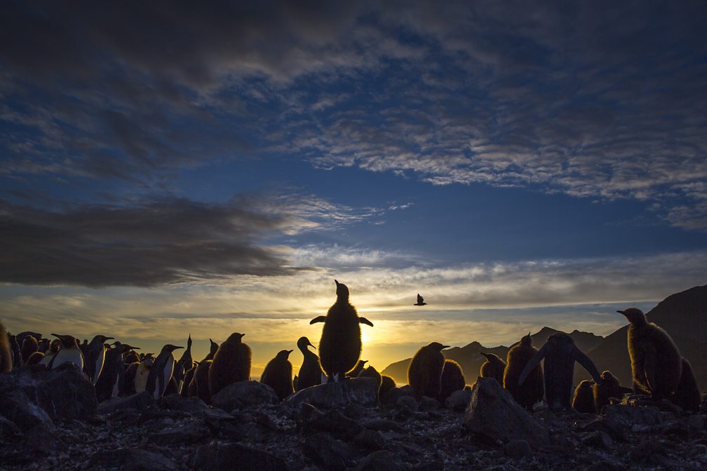 BBC Blogs - About the BBC - Getting a job making wildlife documentaries