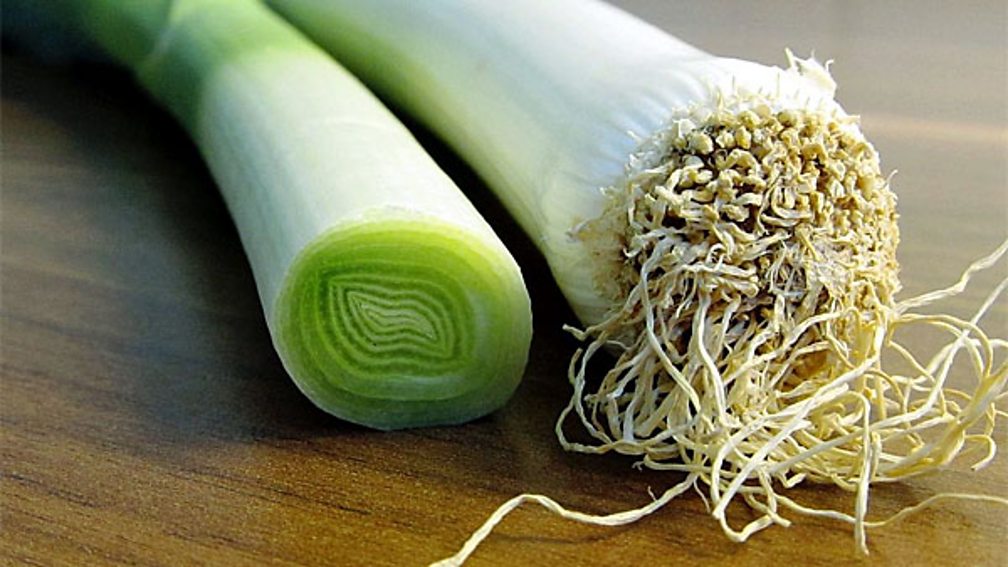 BBC Blogs - Wales - The leek, national emblem of Wales