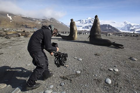 BBC Blogs - About the BBC - Getting a job making wildlife documentaries